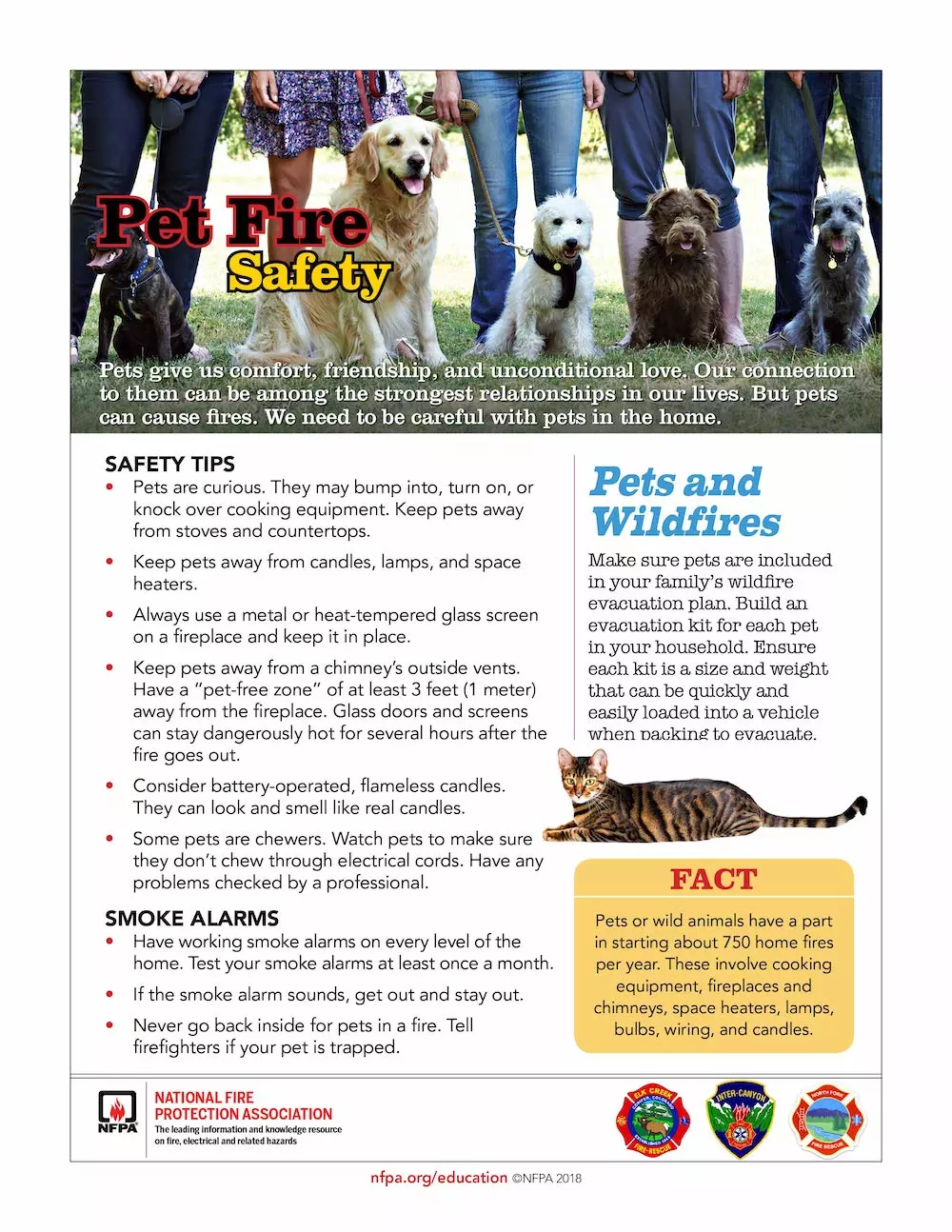 National Pet Fire Safety Day | Elk Creek Fire Protection District
